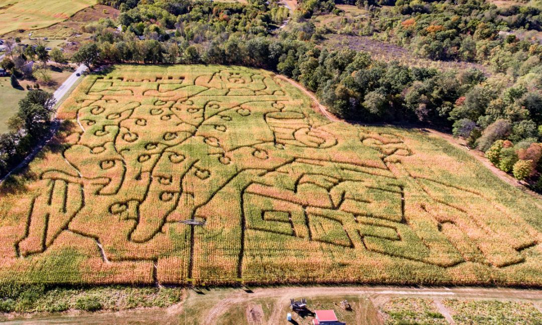 Heidi's Farmstand and Bakery: Fresh Picked Produce, Donuts, Bread, Corn ...